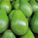 12 Proven And Natural Health Benefits Of Avocado Pear