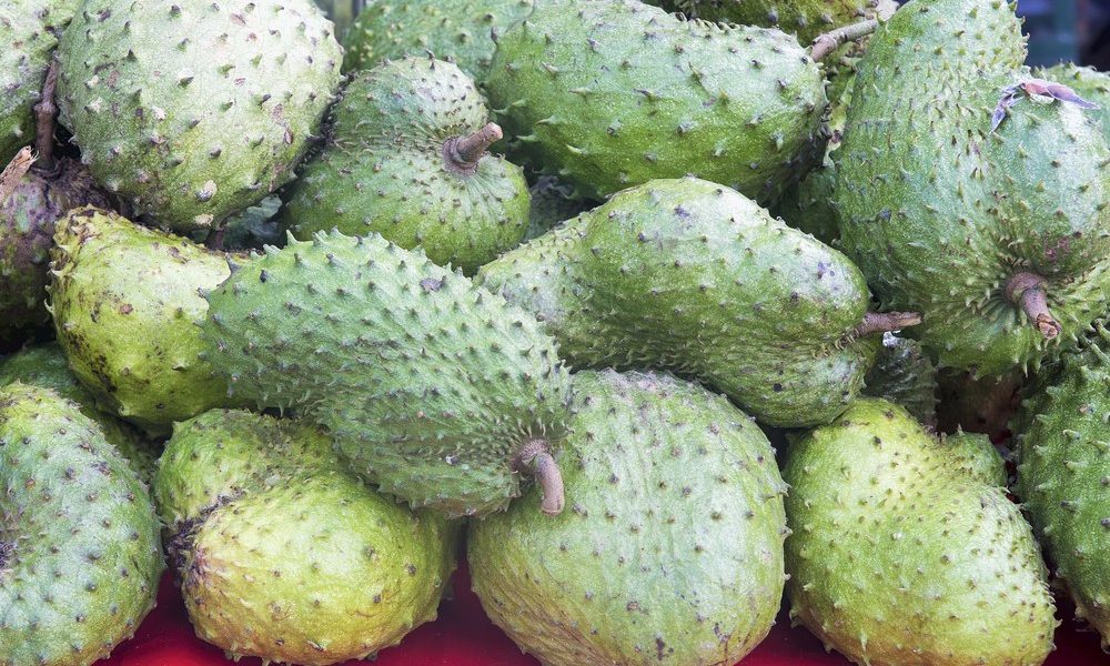 11 Impressive Health Benefits of Soursop-HEALTH IS WEALTH