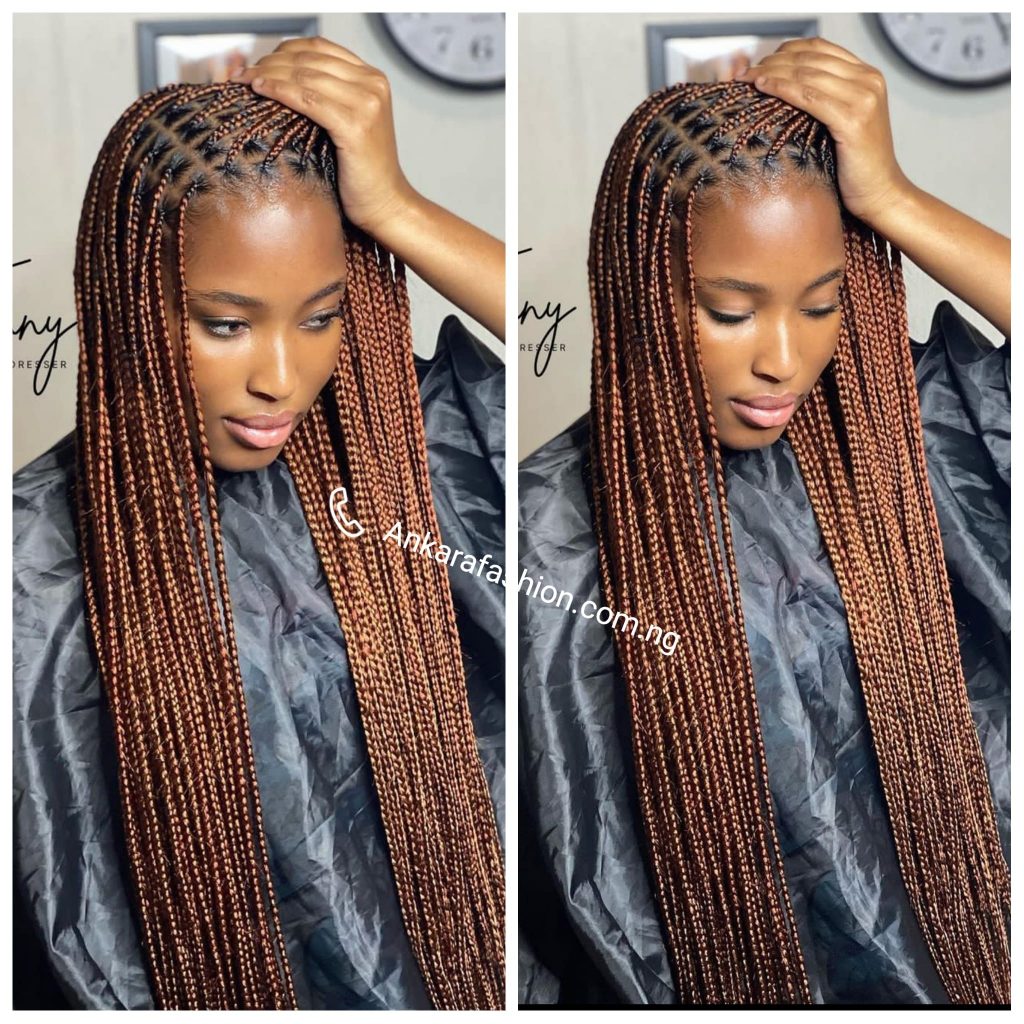 Unique Knotless Braid Styles to Rock this Season- See 100 Design